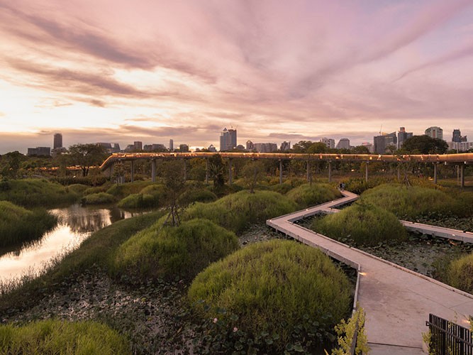 Seeing green in the Thai capital